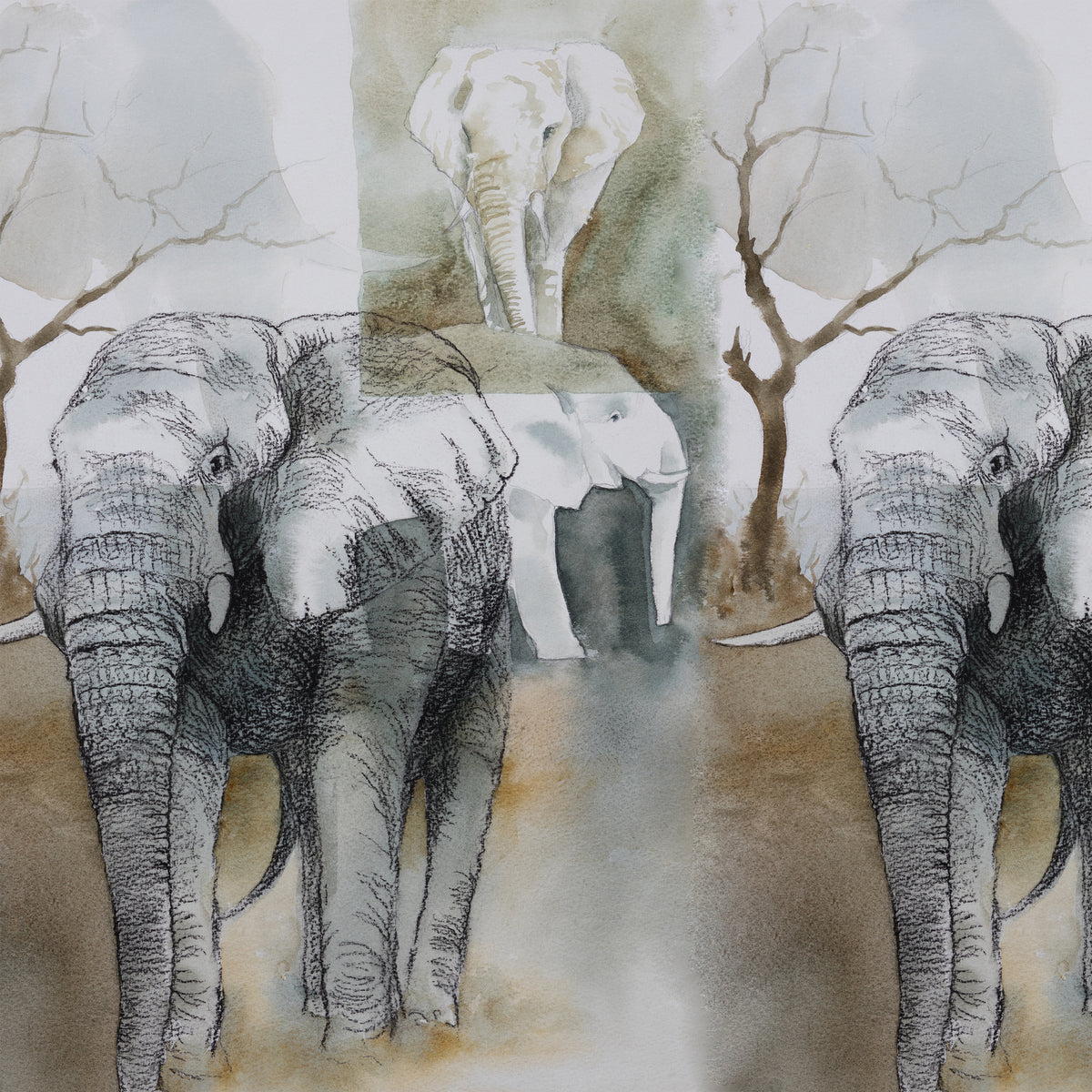 Papel Mural Tembo